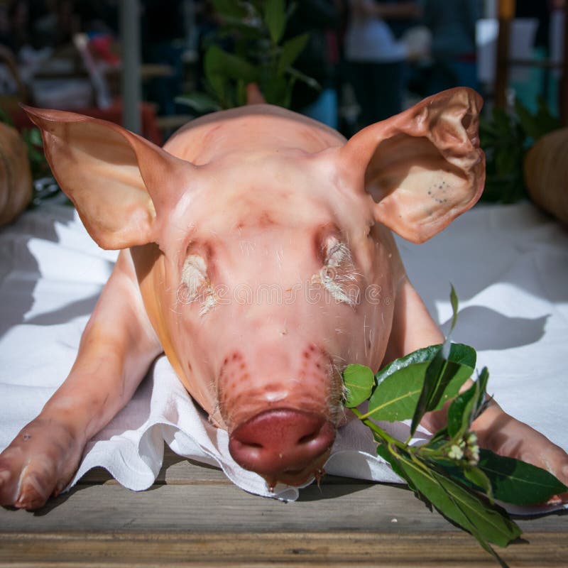 Grilled pig face stock photo. Image of meat, edible, nose - 91700172