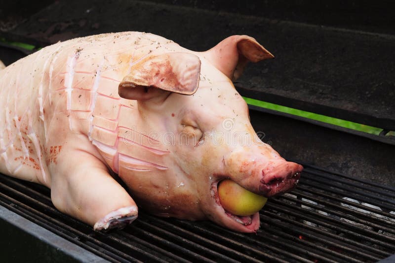 Pig ready to get roasted stock photo. Image of food, piglet - 76404544