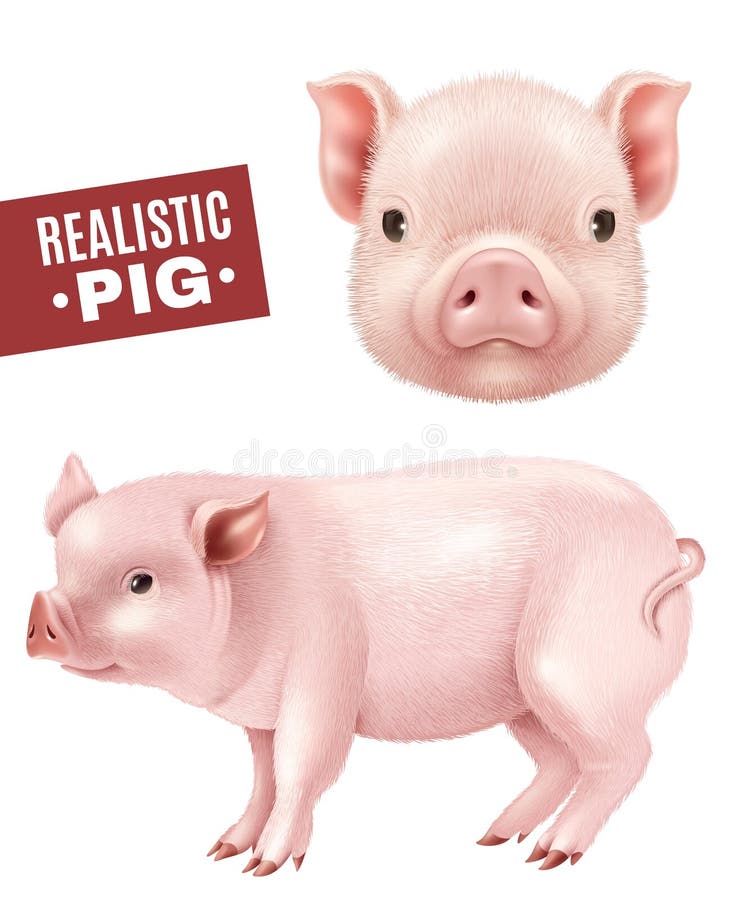 Pig Side View Stock Illustrations – 1,206 Pig Side View Stock ...