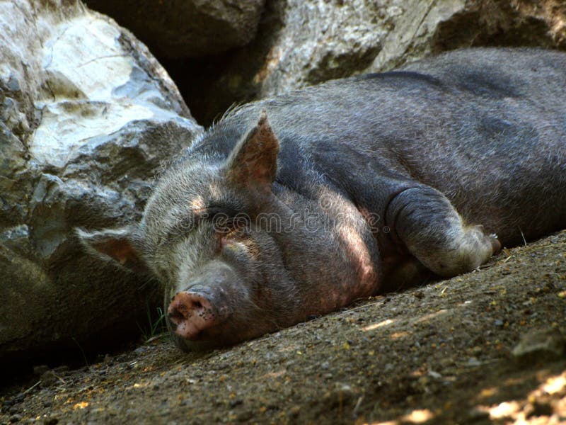 Relax Picture. Image: 5737875