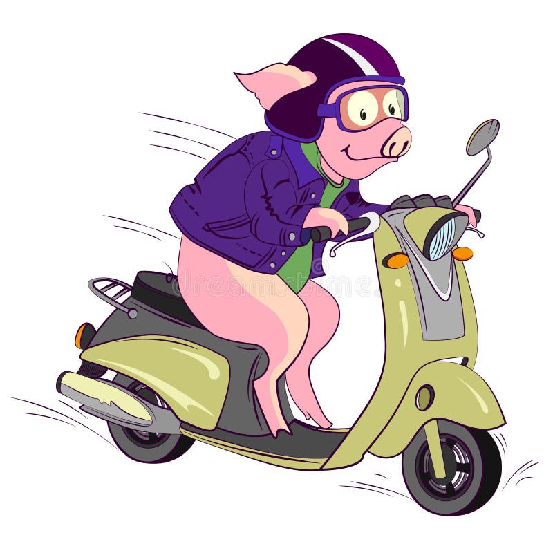 Cartoon Pig Racing Stock Illustrations – 36 Cartoon Pig Racing Stock ...