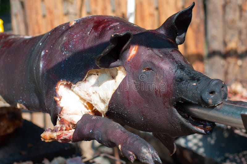 Pig roast stock image. Image of animal, meal, hungry - 32107333