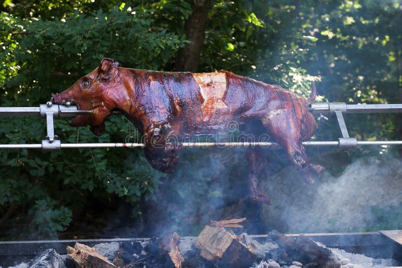 Pig Roasted On Fire Outside Stock Photo - Image of smoke, whole: 25916186