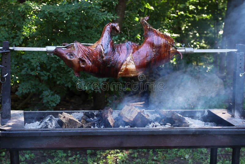 Pig Roasted on Fire Outside Stock Photo - Image of pork, grill: 68622518