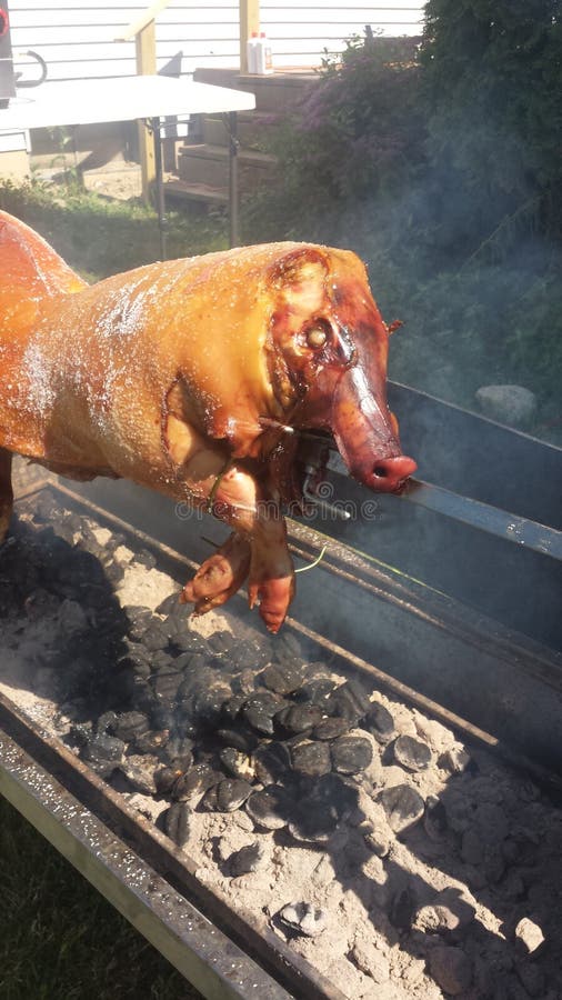 A Pig Roasting on a spit stock image. Image of spit, tasty - 42663329