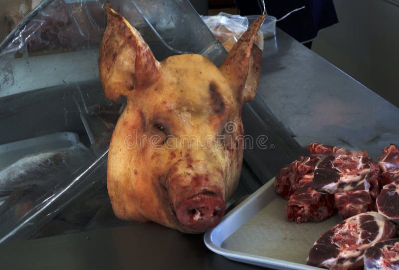 Pig`s Head Chopped Off Along and Directly Editorial Photography - Image ...