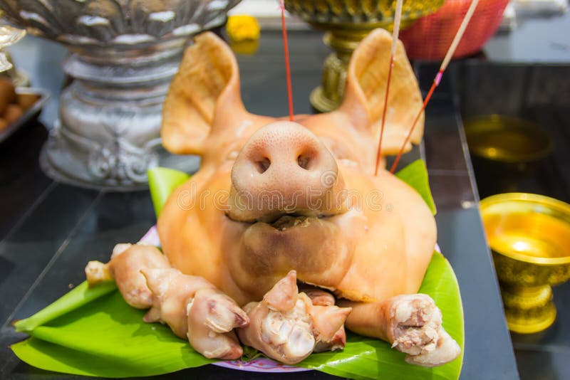 Pig S Head Chopped Off on Tray Stock Image - Image of murder, death ...