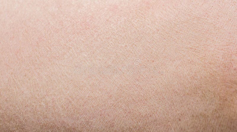 1,188 Pig Skin Texture Photos - Free & Royalty-Free Stock Photos from ...