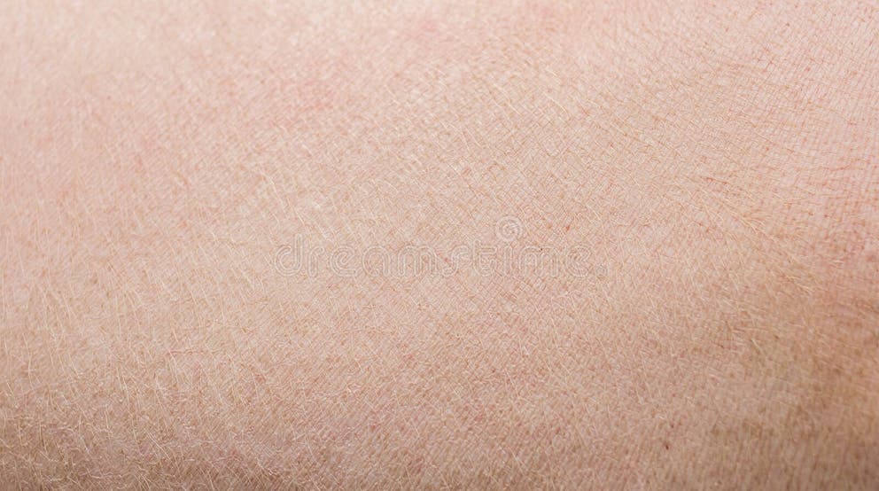 Typical Pink Pig Skin Stock Photos - Free & Royalty-Free Stock Photos ...