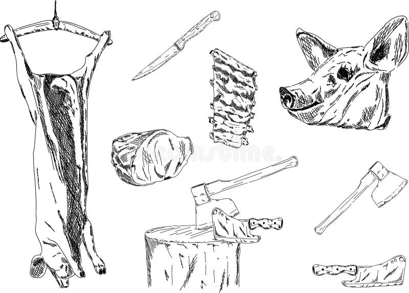 Pig-slaughtering stock vector. Illustration of stainless - 18069125 Pig-slaughtering stock vector. Illustration of stainless - 18069125