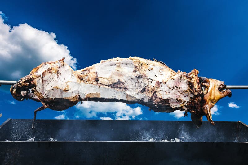 Pig on the spit stock image. Image of outdoor, barbecue - 190258289