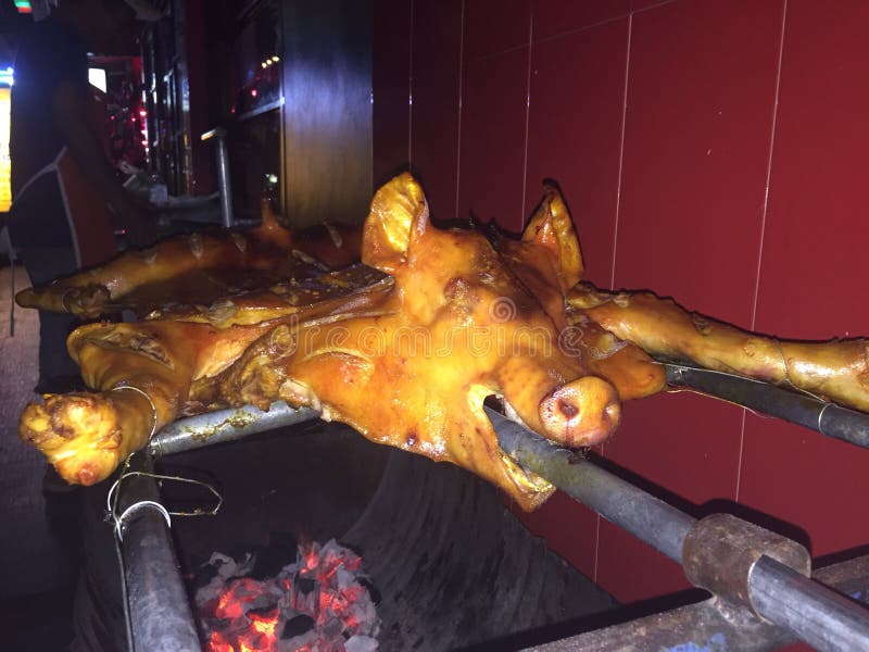 Pig on spit stock image. Image of spit, coals, cooking - 108522125