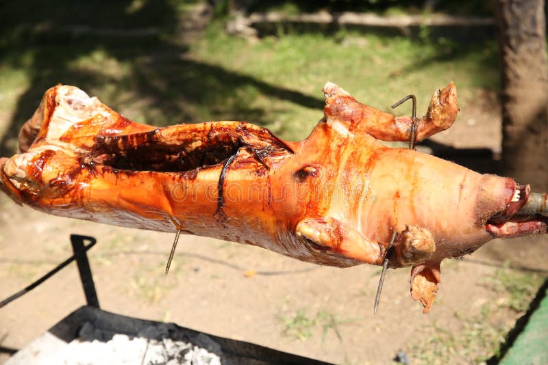 Pig on a Spit on the Grill, Roast Pork in the Process. Stock Photo ...