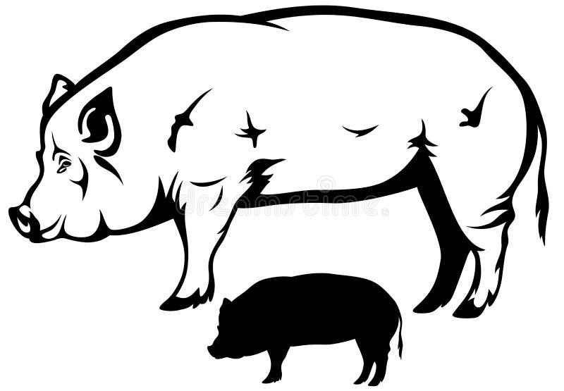 Pig vector stock vector. Illustration of boar, farm, graphic - 27929517
