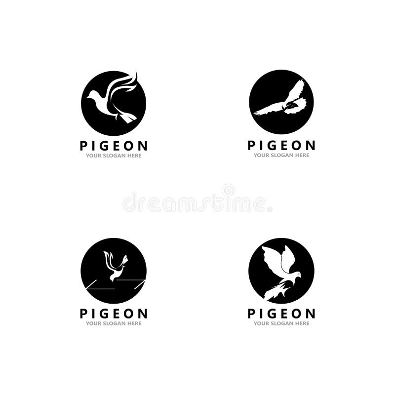 Pigeon Bird Logo Vector Icon Illustration Design Template Stock ...