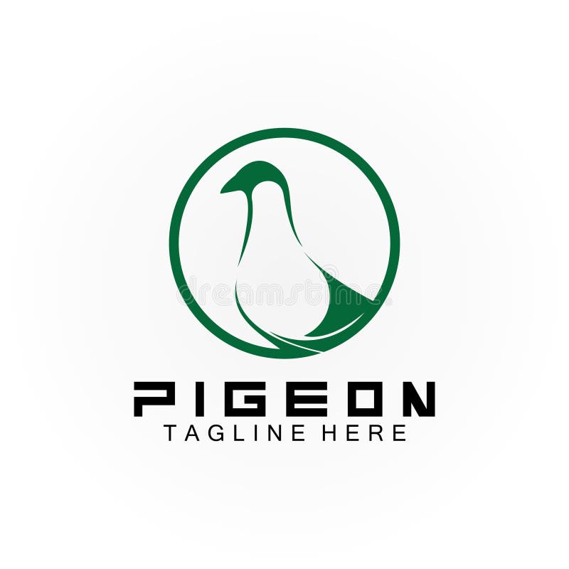Pigeon Bird Logo Vector Icon Illustration Design Template Stock Vector ...