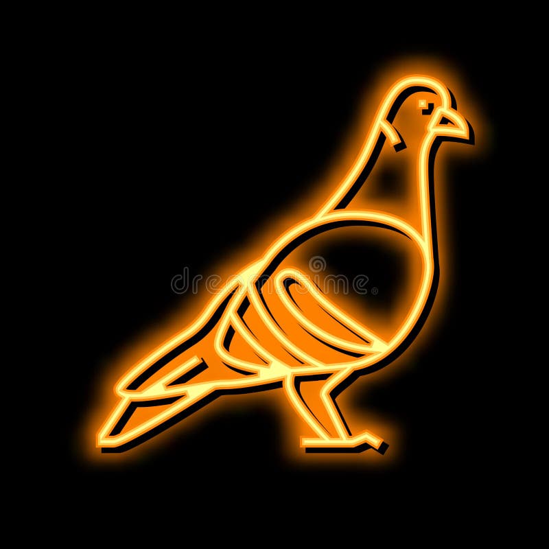 Pigeon Bird Neon Glow Icon Illustration Stock Vector - Illustration of ...