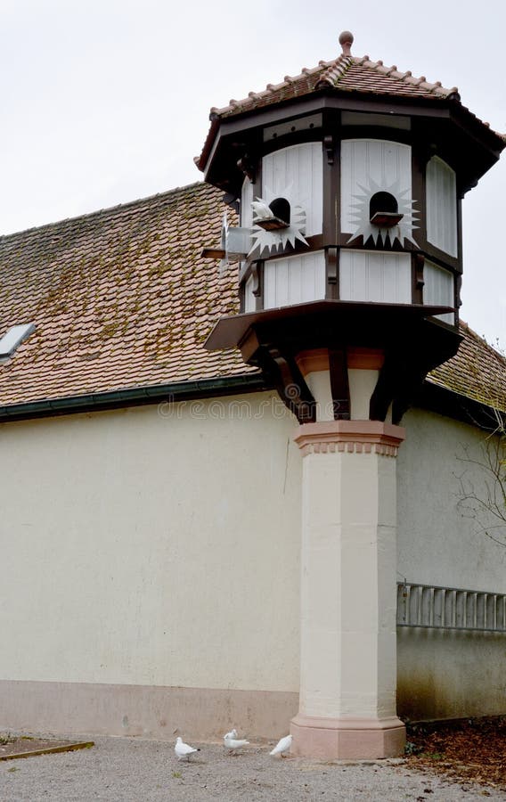 Pigeon coup stock photo. Image of park, corner, bird - 81662252