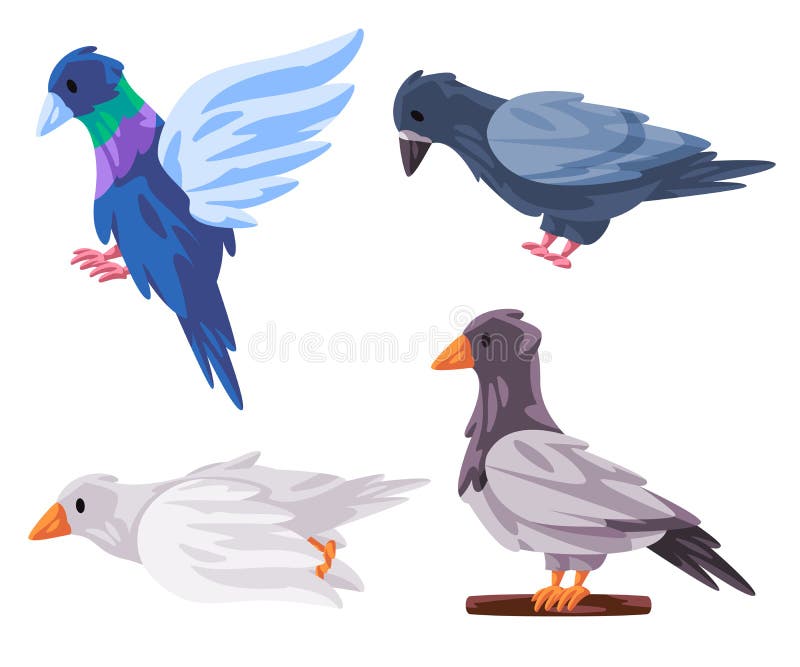 Pigeon Dove Birds Vector Illustration Collection Set Pose in Flying ...