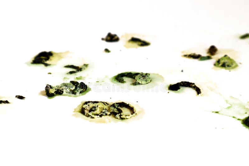 Pigeon Droppings - Dirty Pigeon Bird Poop Concept Stock Photo - Image ...