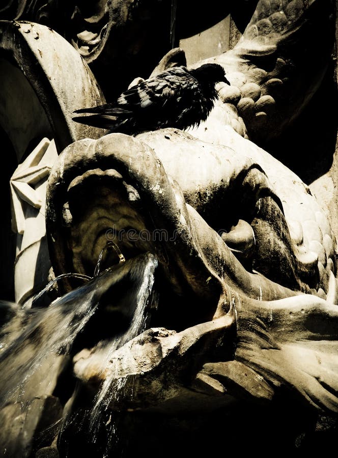 Pigeon on fountain stock photo. Image of pidgeons, piazzas - 3459198