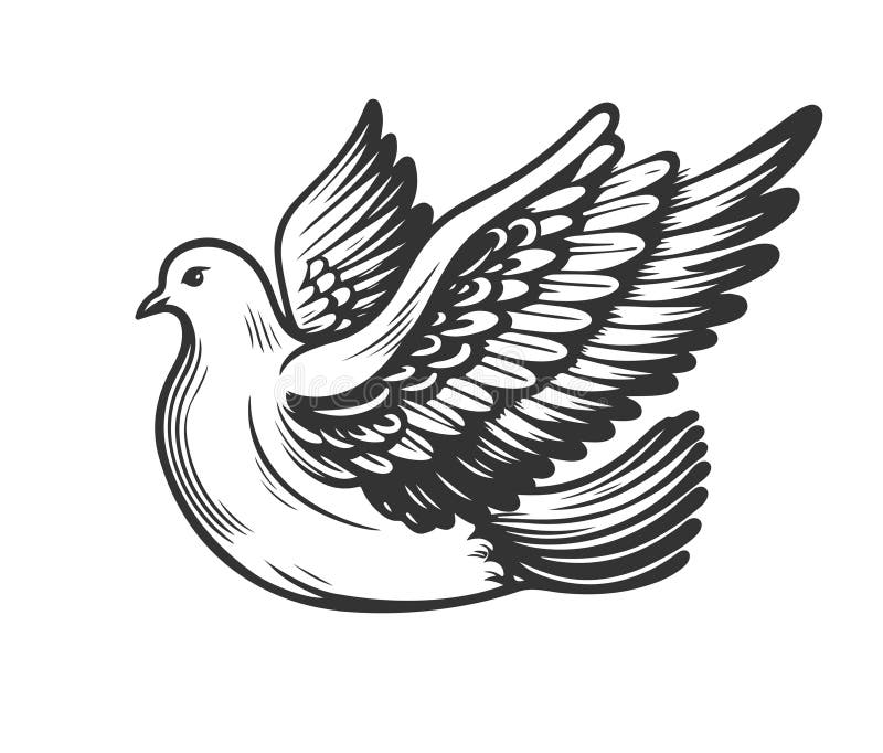 Pigeon Icon. Line Art Style Design Isolated on White Background. Stock ...