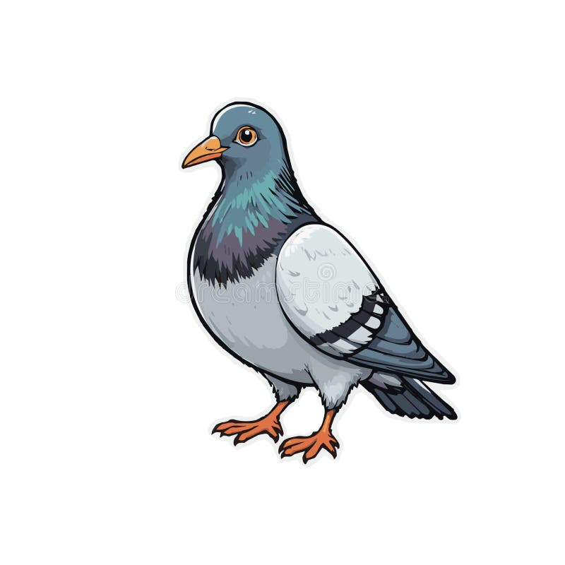 Pigeon Isolated Vector Art & Graphic Stock Vector - Illustration of ...