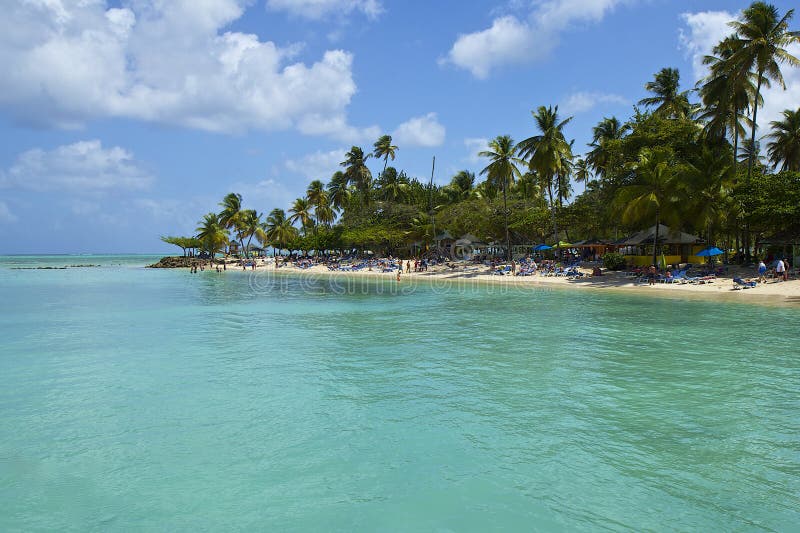 Pigeon Point Beach in Tobago, Caribbean Stock Image - Image of trees ...