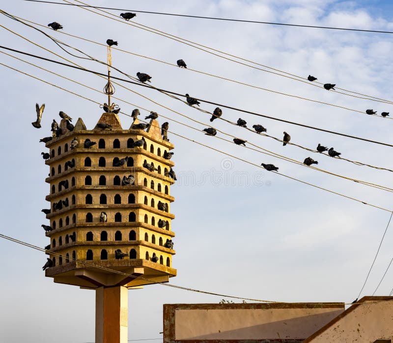 Intricatelydesigned Probe Stock Photos - Free & Royalty-Free Stock ...