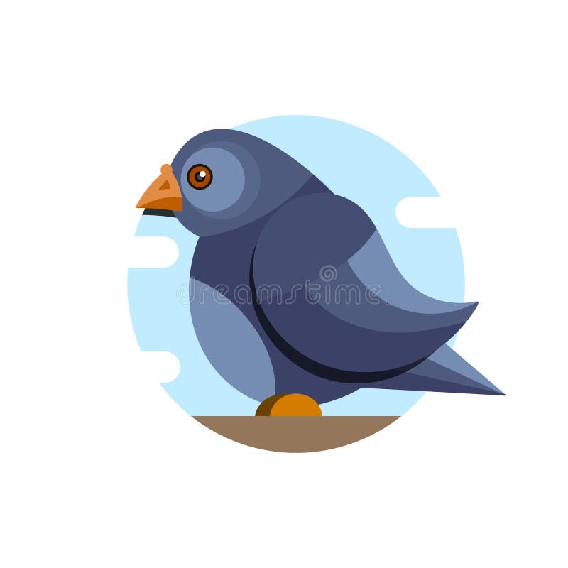 Pigeon Vector Character Color Flat Illustration Pigeon Stock Vector ...