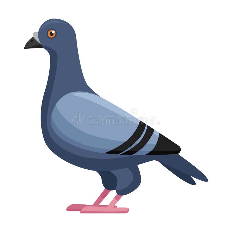 Pigeon Vector Icon.Flat Vector Icon Isolated On White Background Pigeon ...