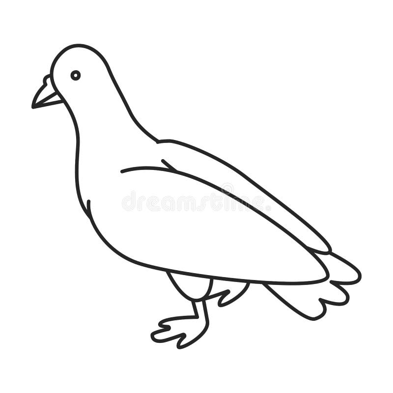 Pigeon outline icon stock vector. Illustration of background - 136791858