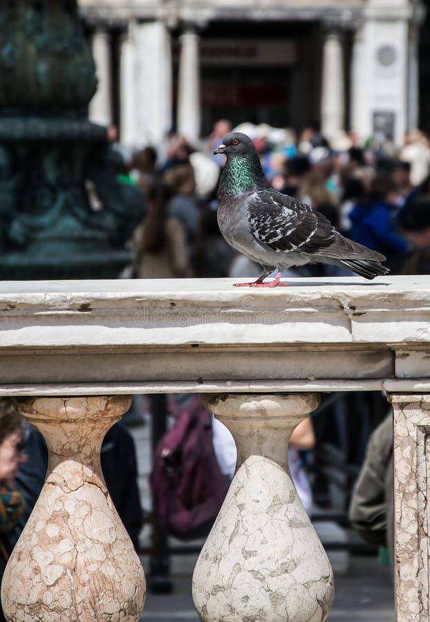 Vintage Looking Map New York To Paris Stock Photos - Free & Royalty ...