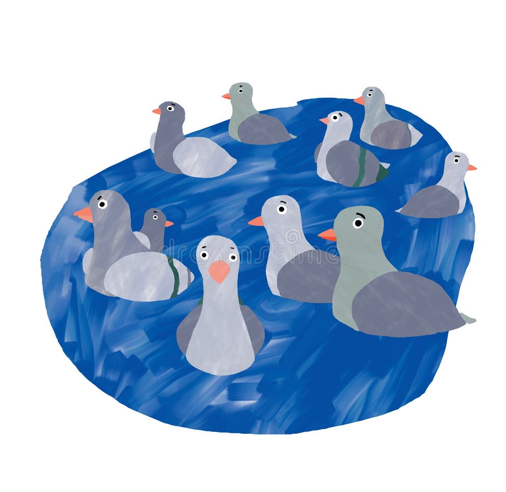 Pigeons Collage Stock Illustrations – 34 Pigeons Collage Stock ...