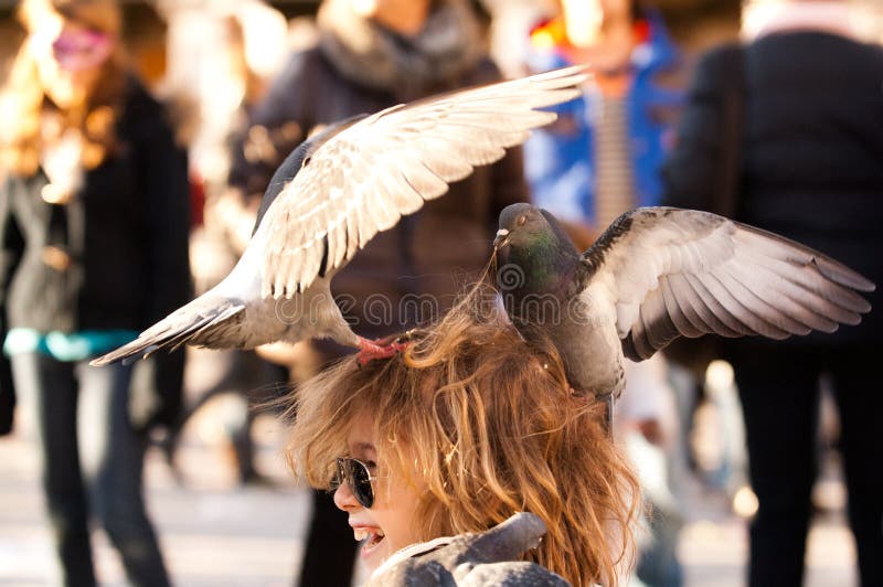 Pigeons Pecking Rice on the Head of a Child Editorial Image - Image of ...