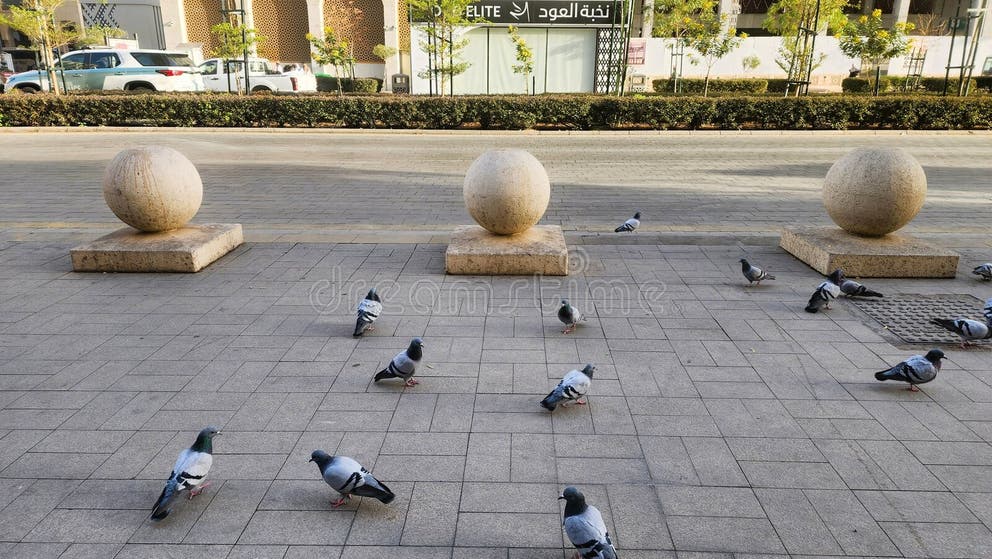 Dove on the Sidewalk with Three Concrete Balls Stock Photo - Image of ...