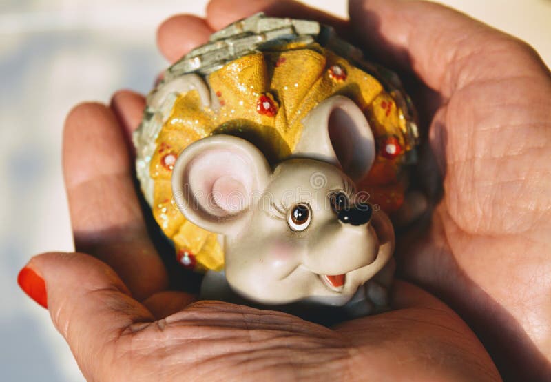 Piggy Bank Rat in the Female Hands Stock Photo - Image of animal, piggy ...