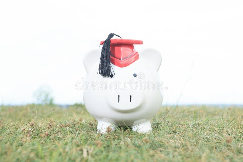 Piggy bank stock photo. Image of money, bank, save, grass - 51245488