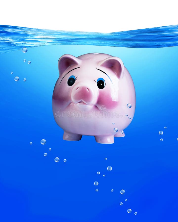 323 Pig Underwater Stock Photos - Free & Royalty-Free Stock Photos from ...