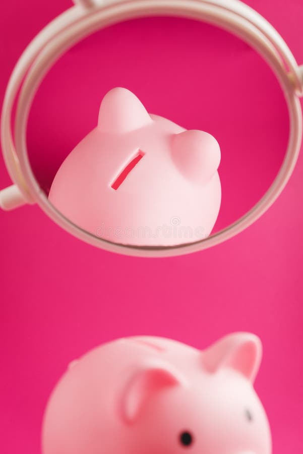 176 Mirror Pig Stock Photos - Free & Royalty-Free Stock Photos from ...