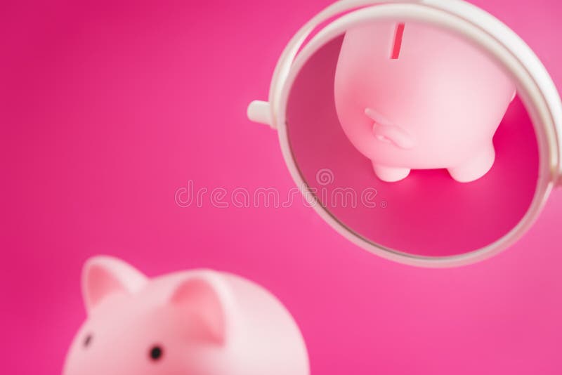 176 Mirror Pig Stock Photos - Free & Royalty-Free Stock Photos from ...