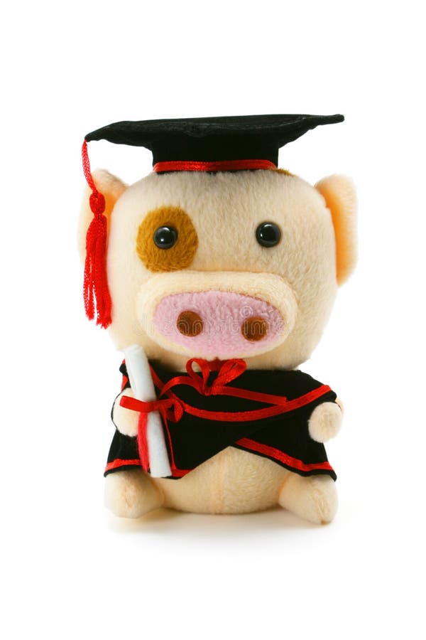 Piggy Soft Toy Graduation Stock Photos - Free & Royalty-Free Stock ...