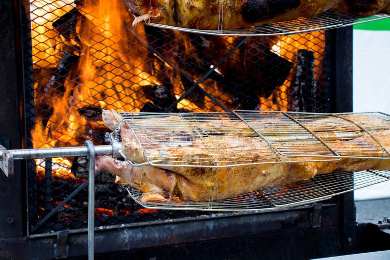 Piglets on a giant grill. stock photo. Image of grilling - 101040740