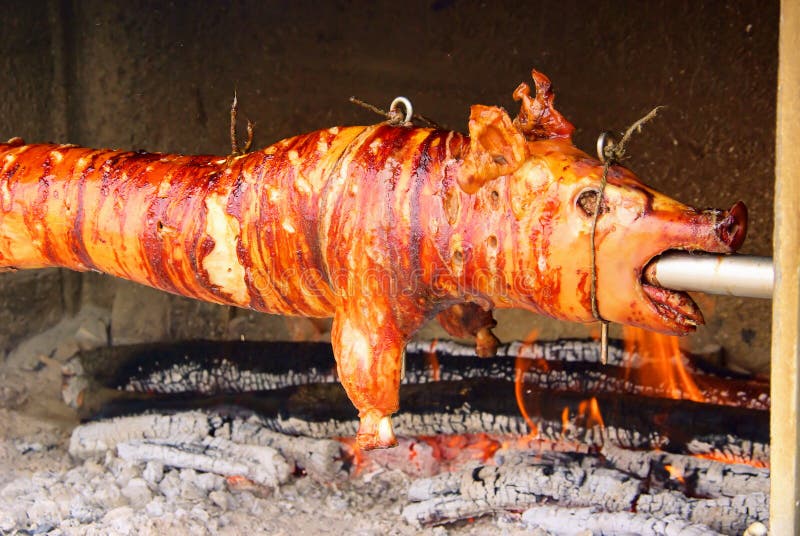 Pigling stock photo. Image of cooking, broil, sucking - 17598288