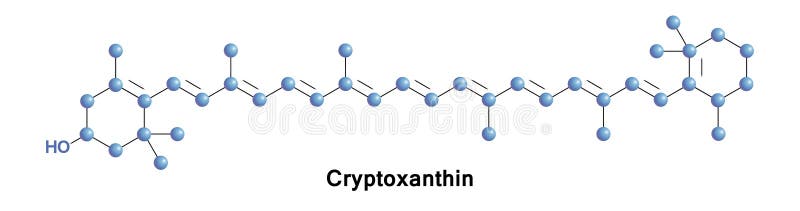 Pigmento Del Carotenoide De La Criptoxantina Ilustración del Vector ...