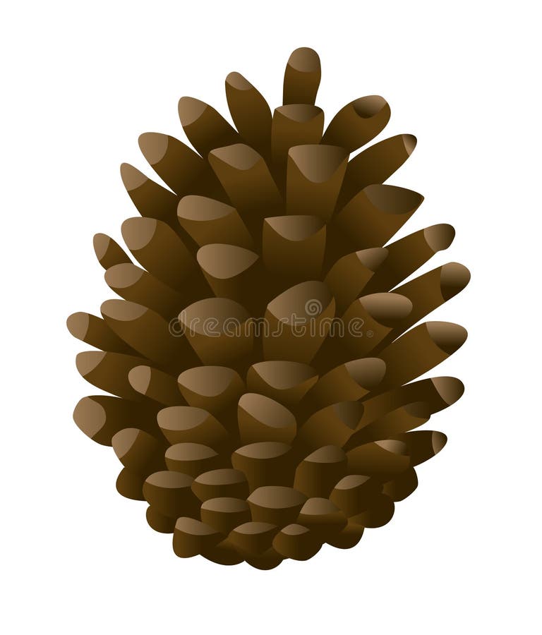 Texture Di Pigna Autunnale, Scatto Macro Fotografia Stock - Immagine di ...