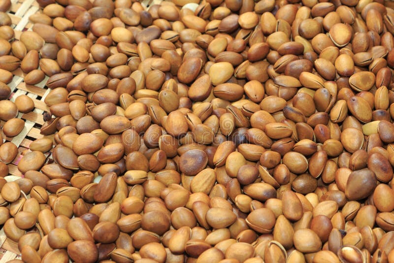 Pignon image stock. Image du nosh, refection, frit, graines - 21725557