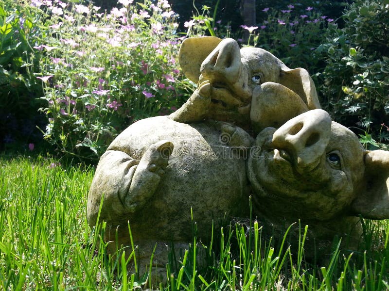 Pigs in a garden stock image. Image of kitch, stone, backyard - 85251881