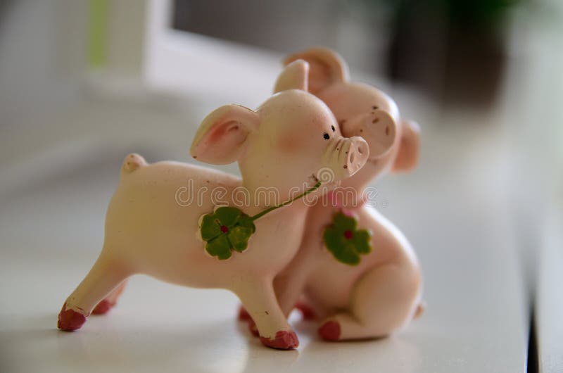 208 Pig Hug Stock Photos - Free & Royalty-Free Stock Photos from Dreamstime