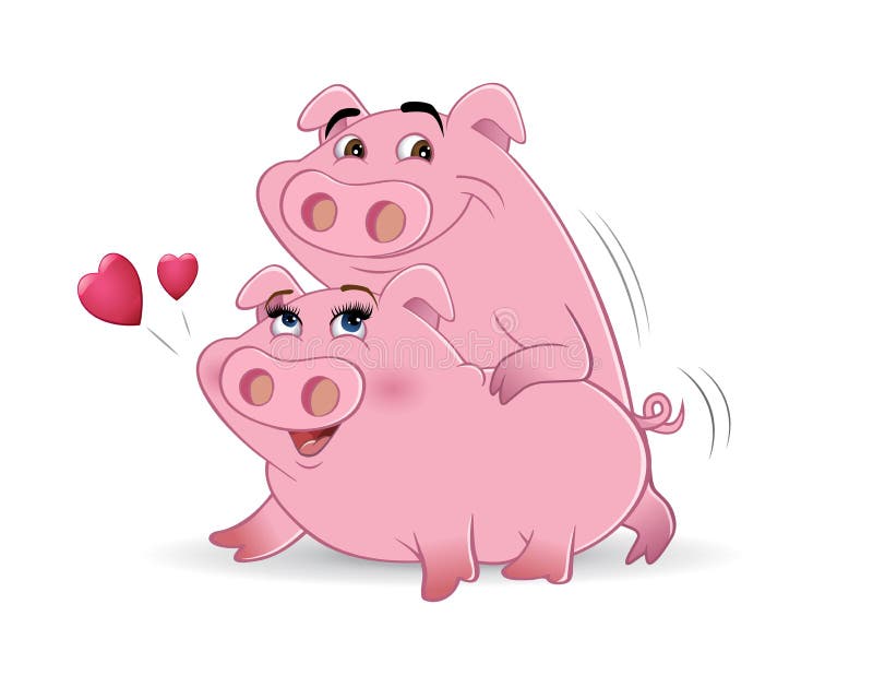 Pigs mating stock illustration. Illustration of farm - 72420684